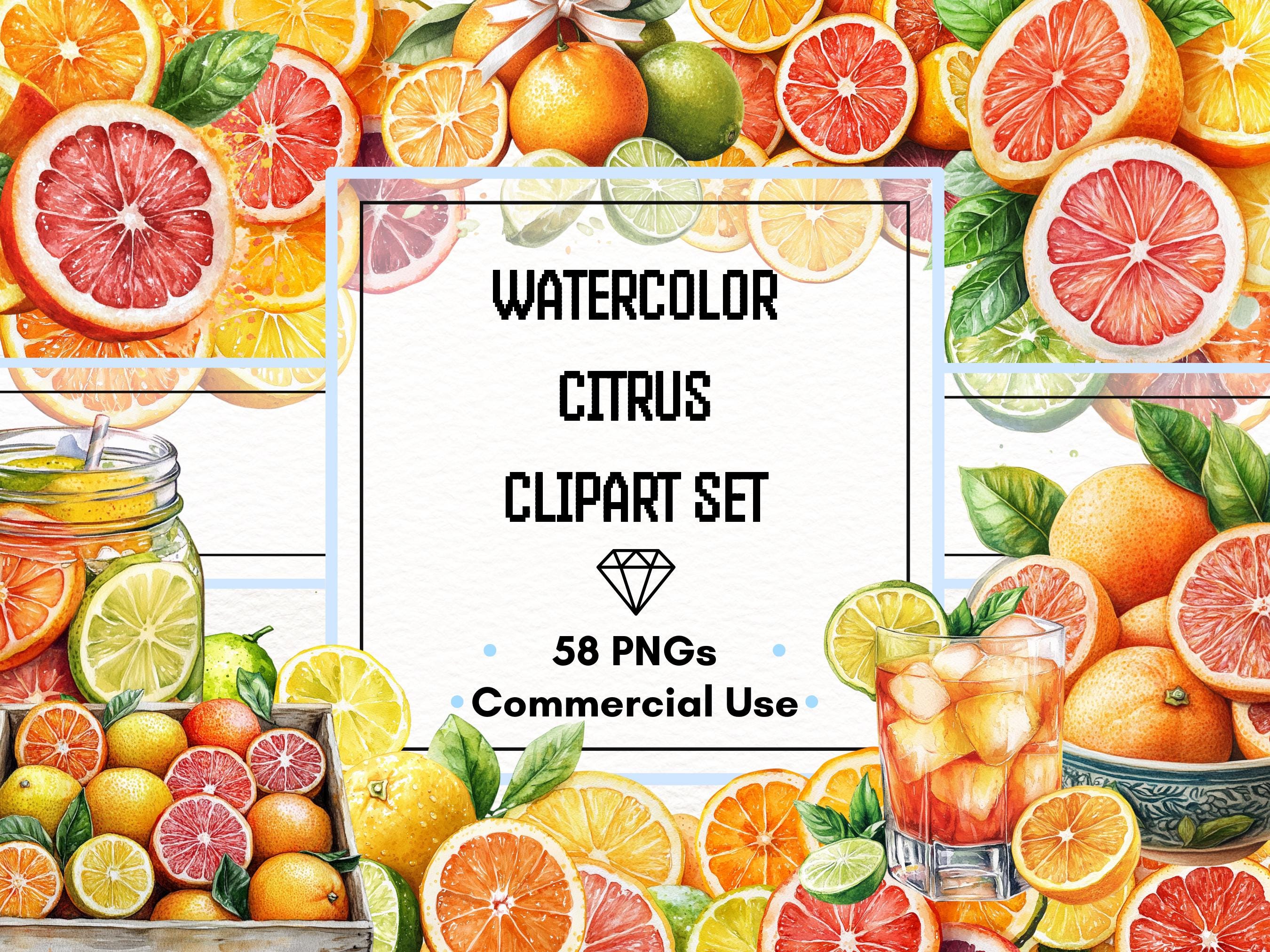 Citrus Clipart Set – Watercolor Lemons, Limes, Oranges & Grapefruit ...