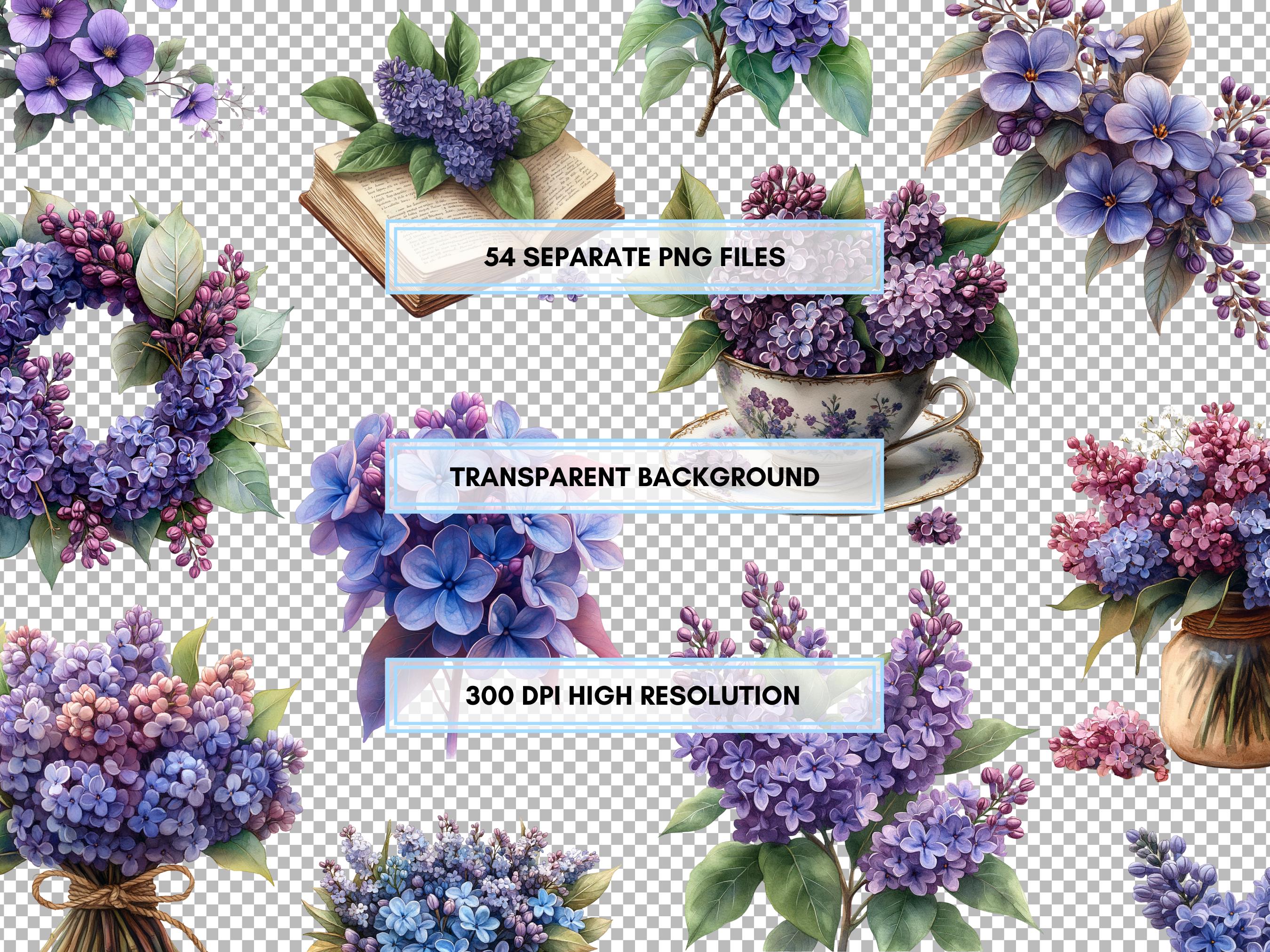 Lilac Clipart Set – Watercolor Blooms, Wreaths, Bouquets & Frames | 54 ...