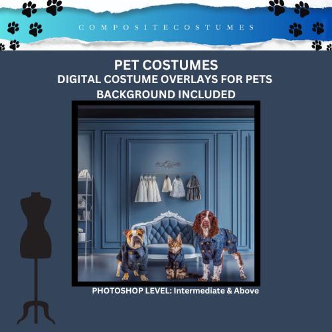 Pet Tweed Jacket Costume Digital Overlay for Pet Portrait Blue Tweed ...