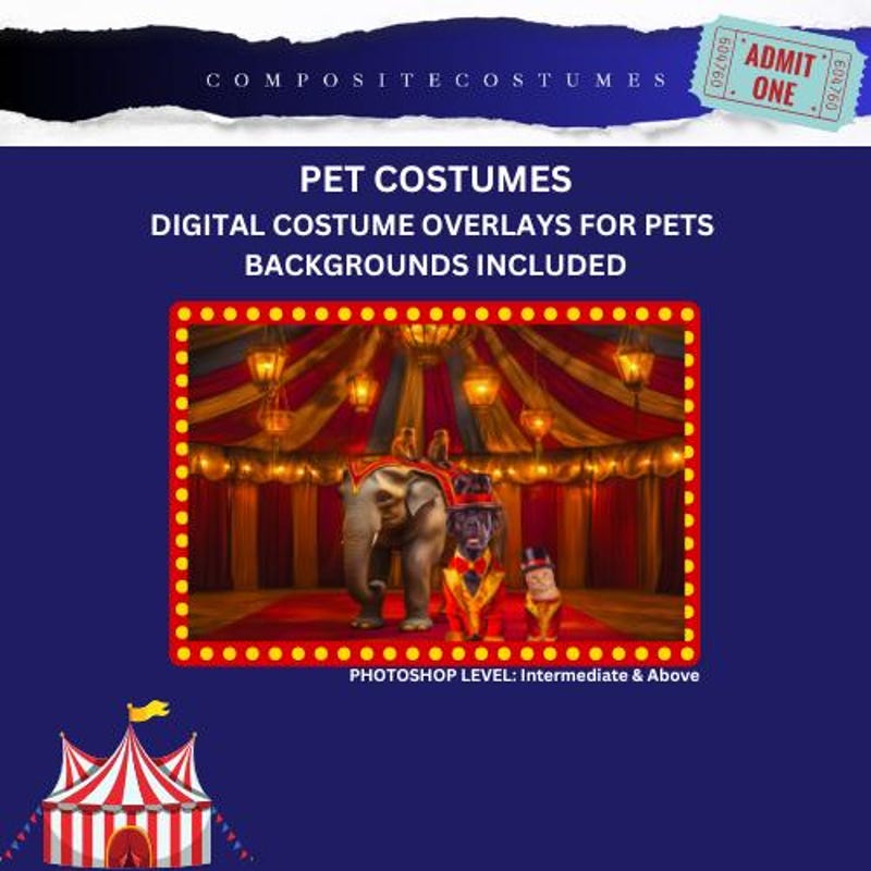 Dog Circus Costume - Etsy
