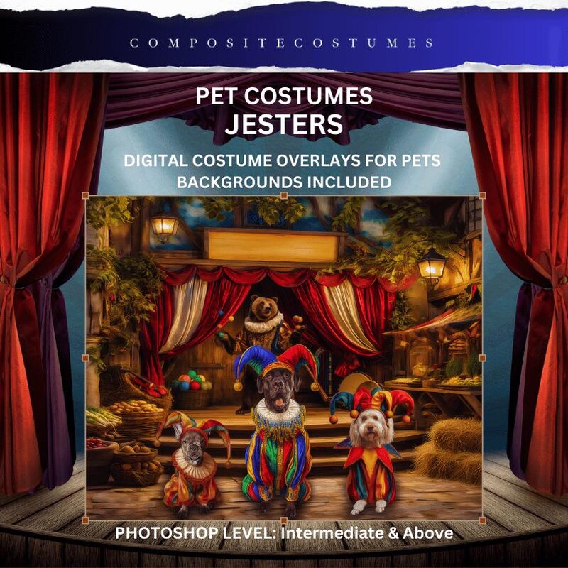 Jester Theatre Costume - Etsy