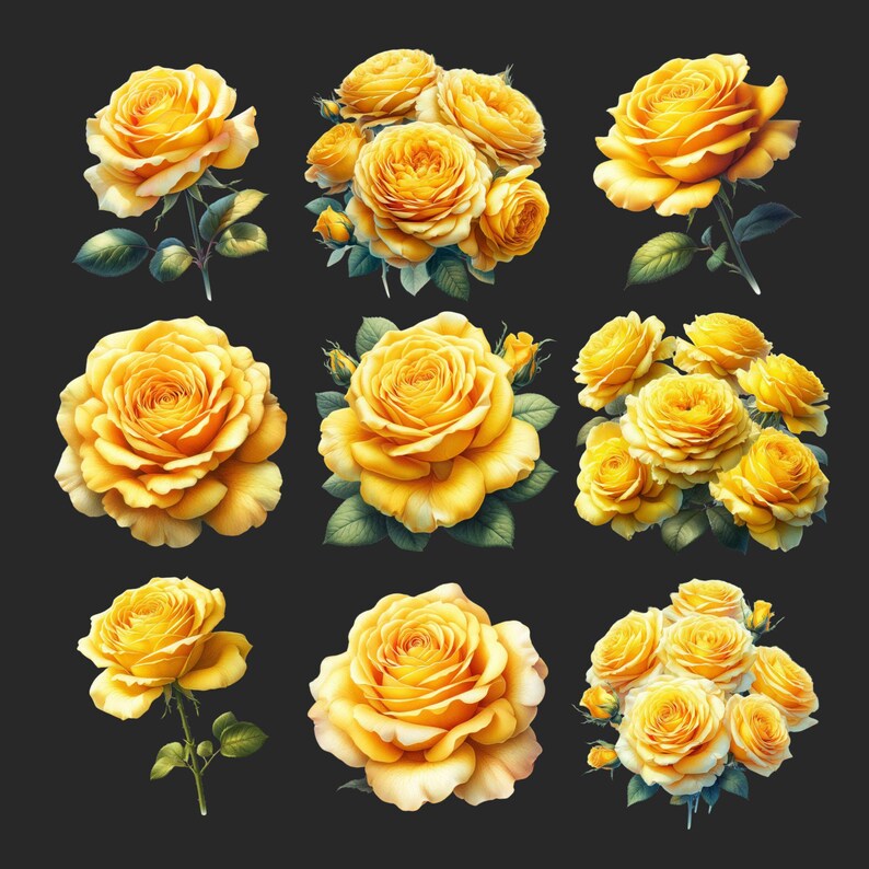 13 Yellow Roses Clipart, Sublimation, Clipart Bundle, Clipart Bundle ...