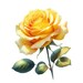 13 Yellow Roses Clipart, Sublimation, Clipart Bundle, Clipart Bundle ...