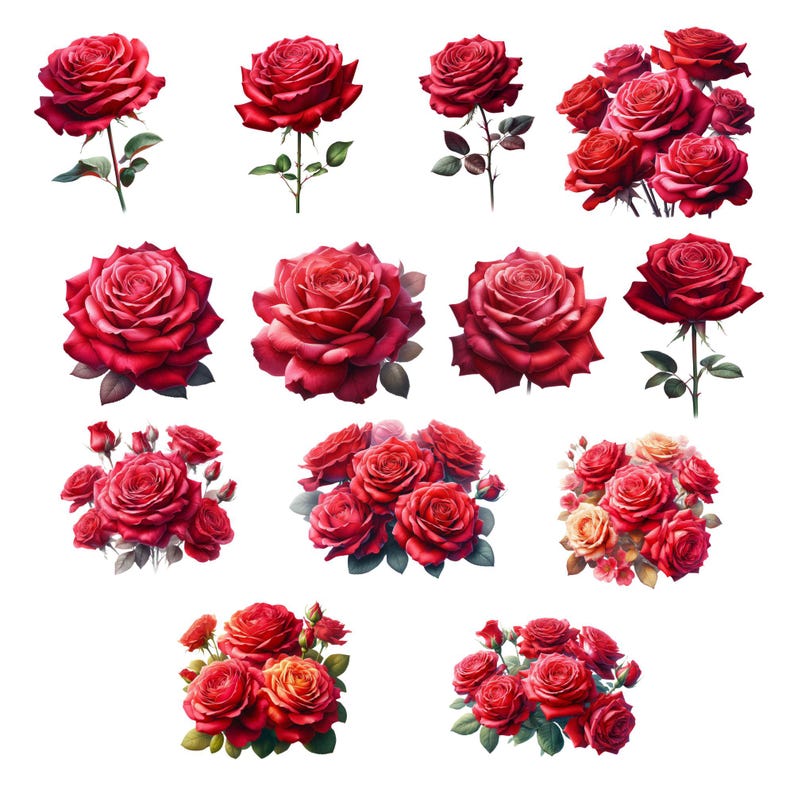 18 Red Roses PNG, Sublimation, Clipart Bundle, Clipart Bundle ...
