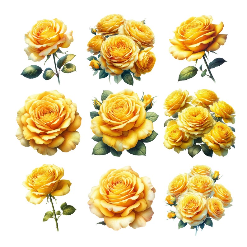 13 Yellow Roses Clipart, Sublimation, Clipart Bundle, Clipart Bundle ...