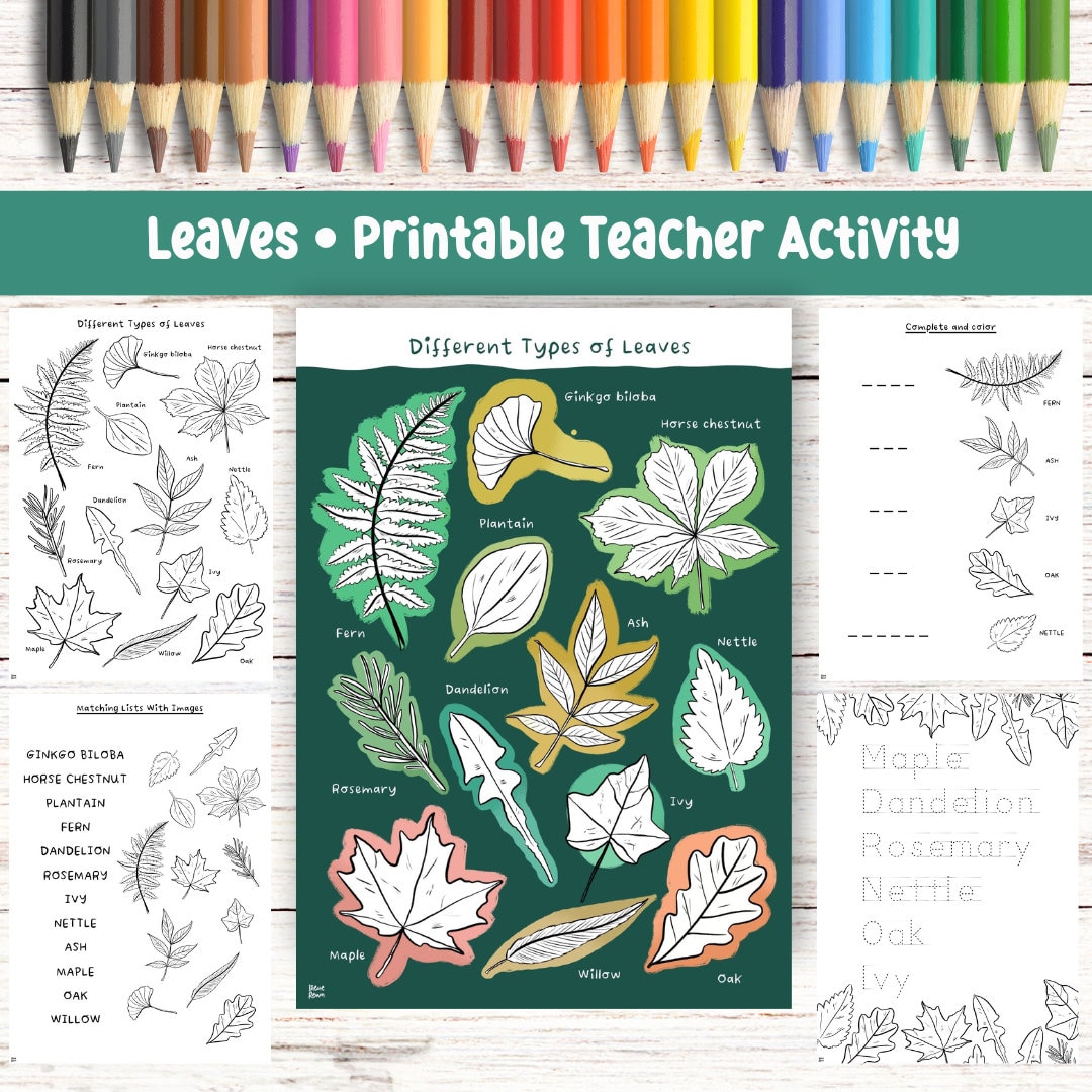 Leaves Printable Teacher Activity Homeschool Leaf Art Autumn Printable ...