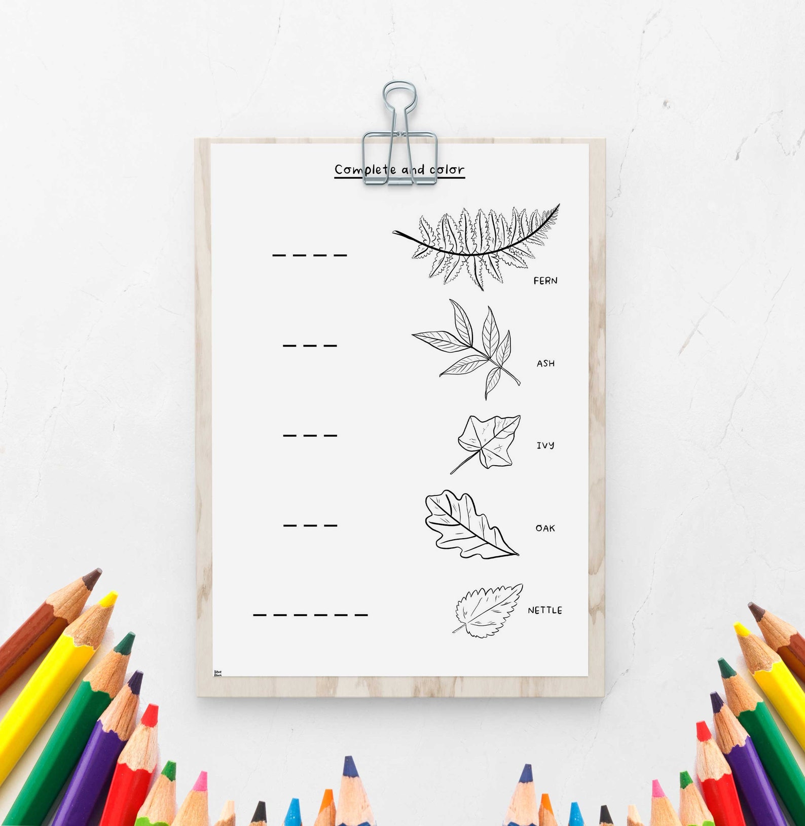 Leaves Printable: Teacher Activity, Homeschool Leaf Art (digital ...