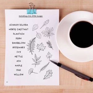 Leaves Printable Teacher Activity Homeschool Leaf Art Autumn Printable ...