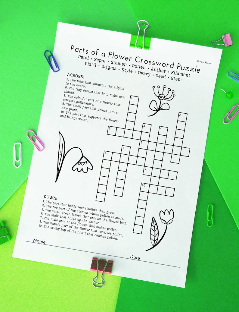 Flower Anatomy Crossword Puzzle: STEM Educational Printable (US Letter ...