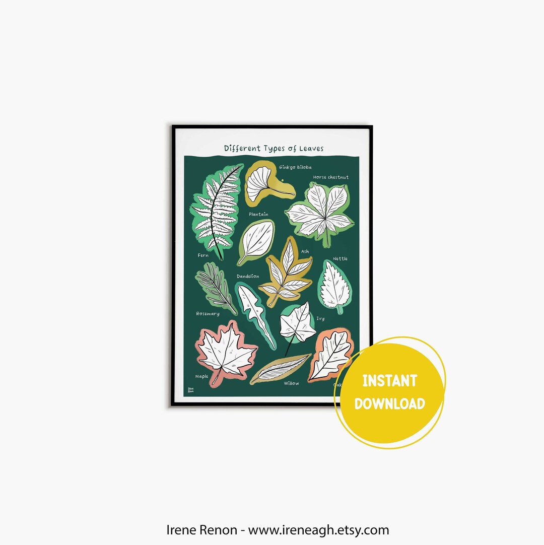 Leaves Classroom Poster: Educational Science Print (digital Download ...