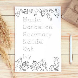 Leaves Printable: Teacher Activity, Homeschool Leaf Art (digital ...