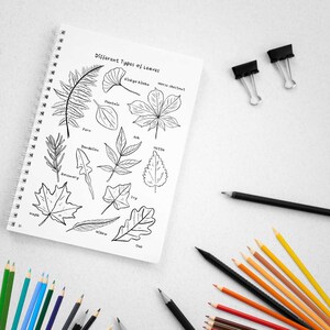 Leaves Printable Teacher Activity Homeschool Leaf Art Autumn Printable ...