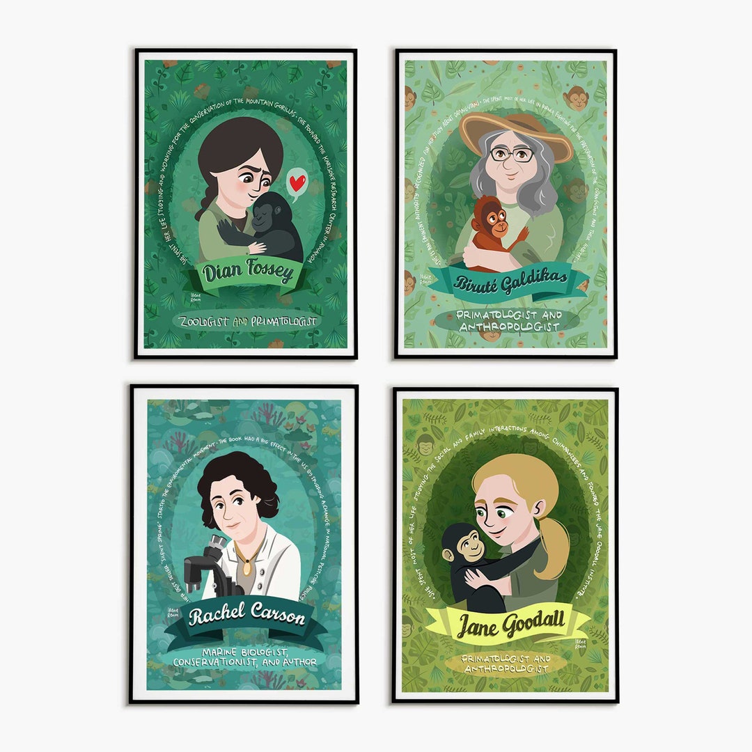 Classroom Decor Bundle Women in Science Print Women in Stem Poster Dian ...