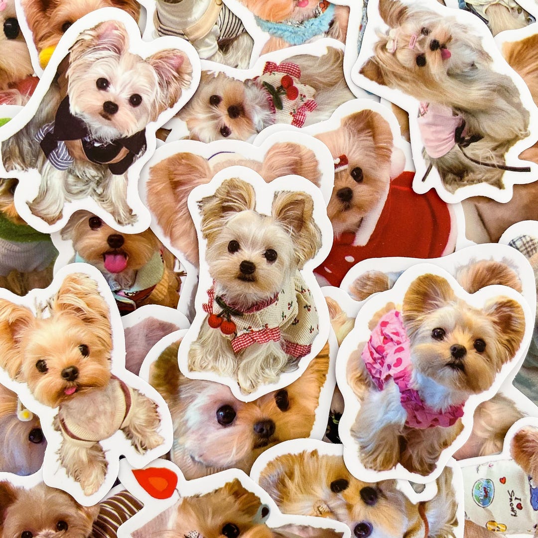 100 Random Yorkie Stickers, Cute Dog Stickers, Kawaii Waterproof ...
