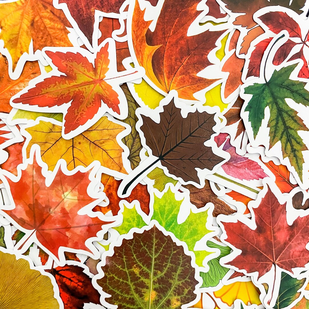 50PCS Fall Leaf Sticker Pack, Vibrant Autumn Stickers, Nature Stickers ...