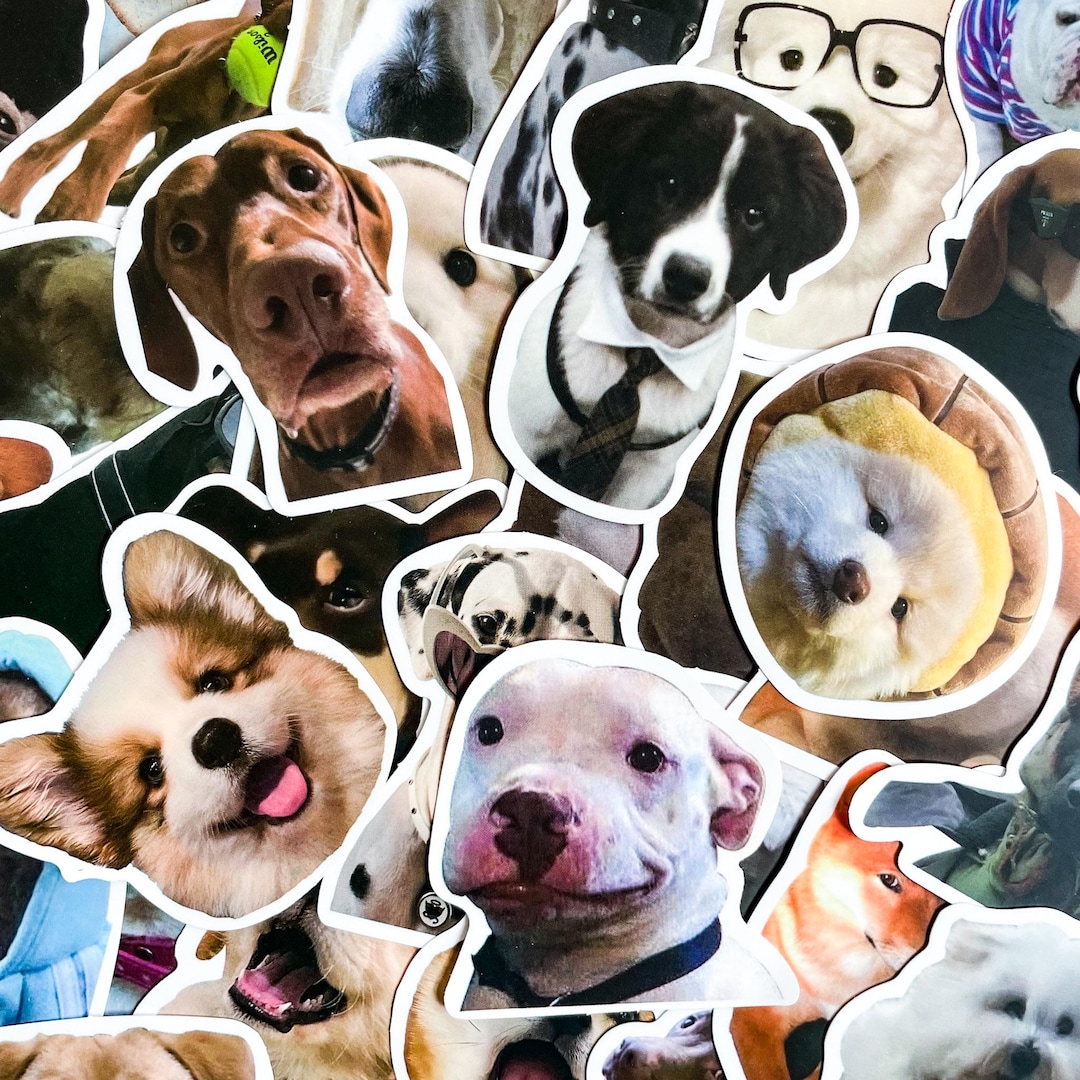 100 Cute Dog Stickers, Funny Puppy Meme Stickers, Pet-themed Stickers ...