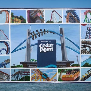 Fun at Cedar Point Roller Coaster Acrylic Painting Art Print - Etsy