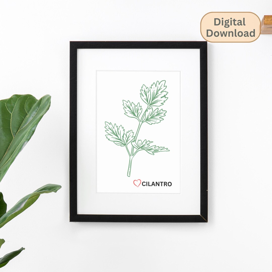 Cilantro Stem Heart Outline Digital Print - Etsy