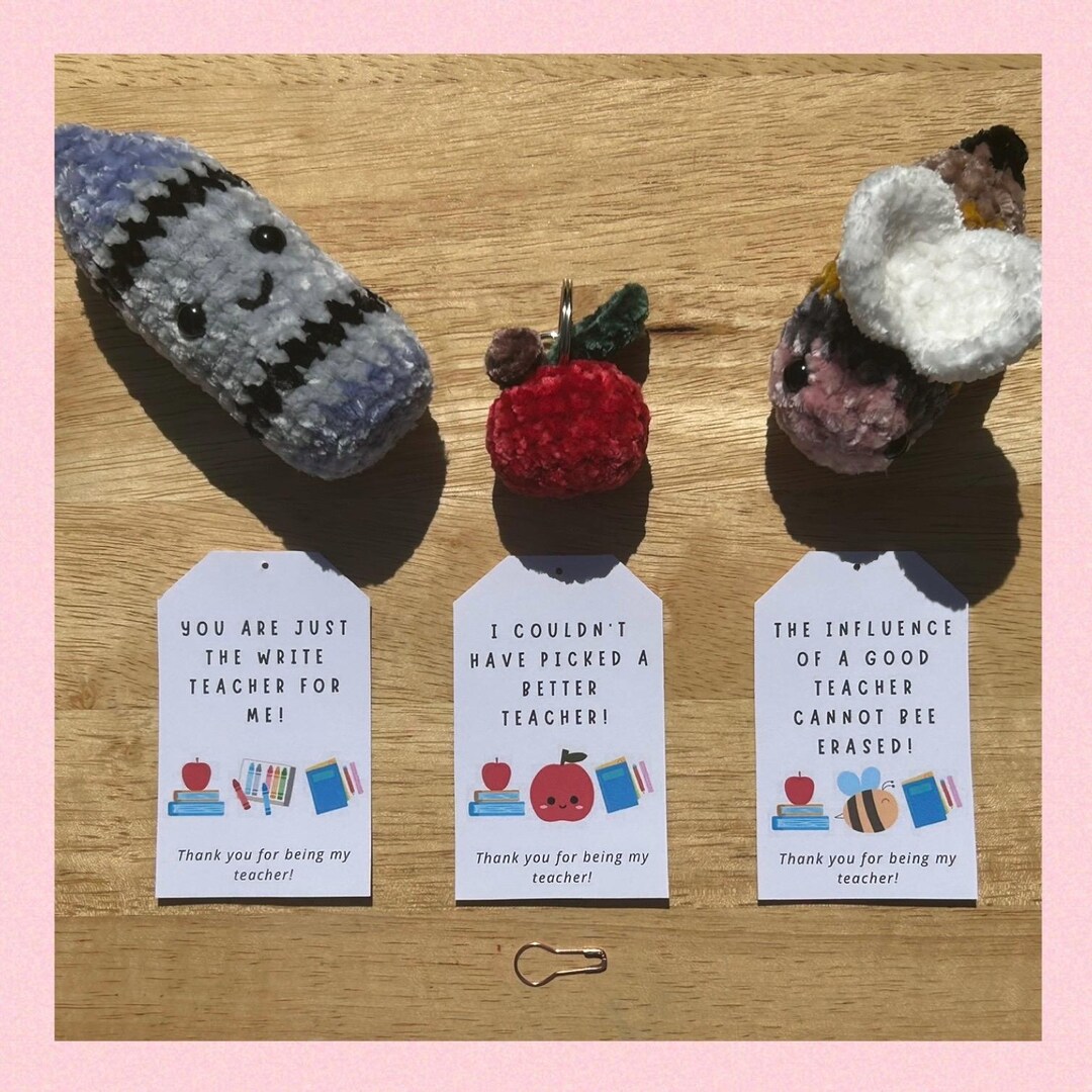 Crochet Punny Teacher Appreciation Gifts (MADE TO ORDER) - Etsy