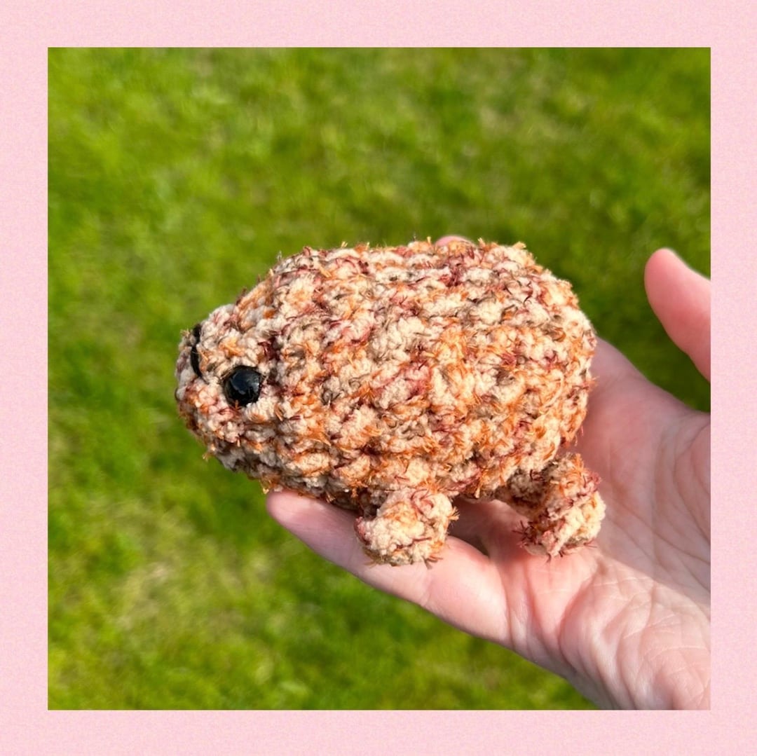 Crochet Squeaking Desert Rain Frog Plushie (MADE TO ORDER) - Etsy