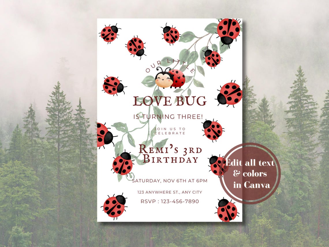 Love Bug Birthday Invitation - Etsy
