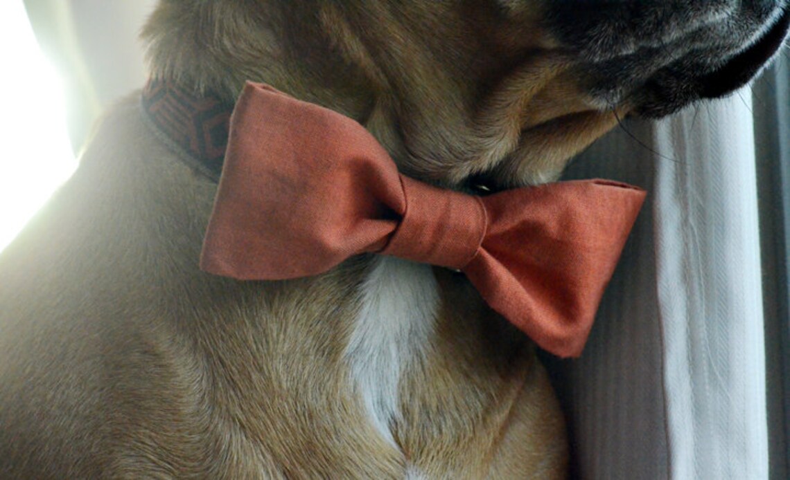 Dog Bow Tie Sewing Pattern - Easy Printable Pattern and Tutorial for ...