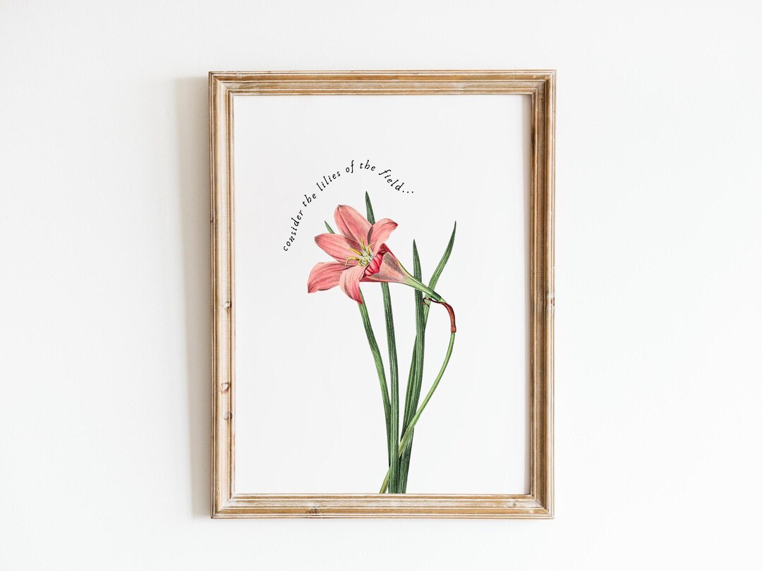 Consider the Lilies Print: Vintage Botanical Wall Art (digital Download ...