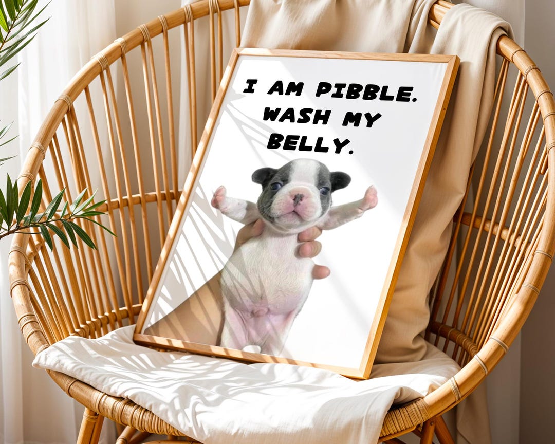 I Am Pibble Wash My Belly Funny Tik Tok Meme Puppy Print Etsy