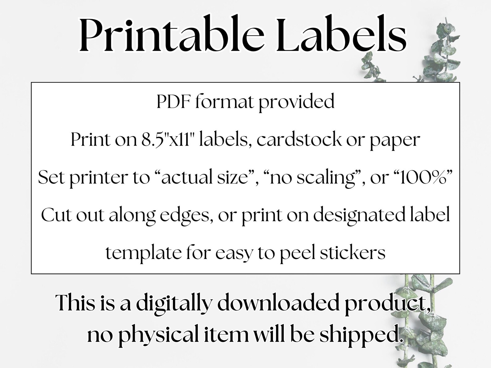 Editable Panty Labels, Home Labels, Canva Template Labels, Home ...