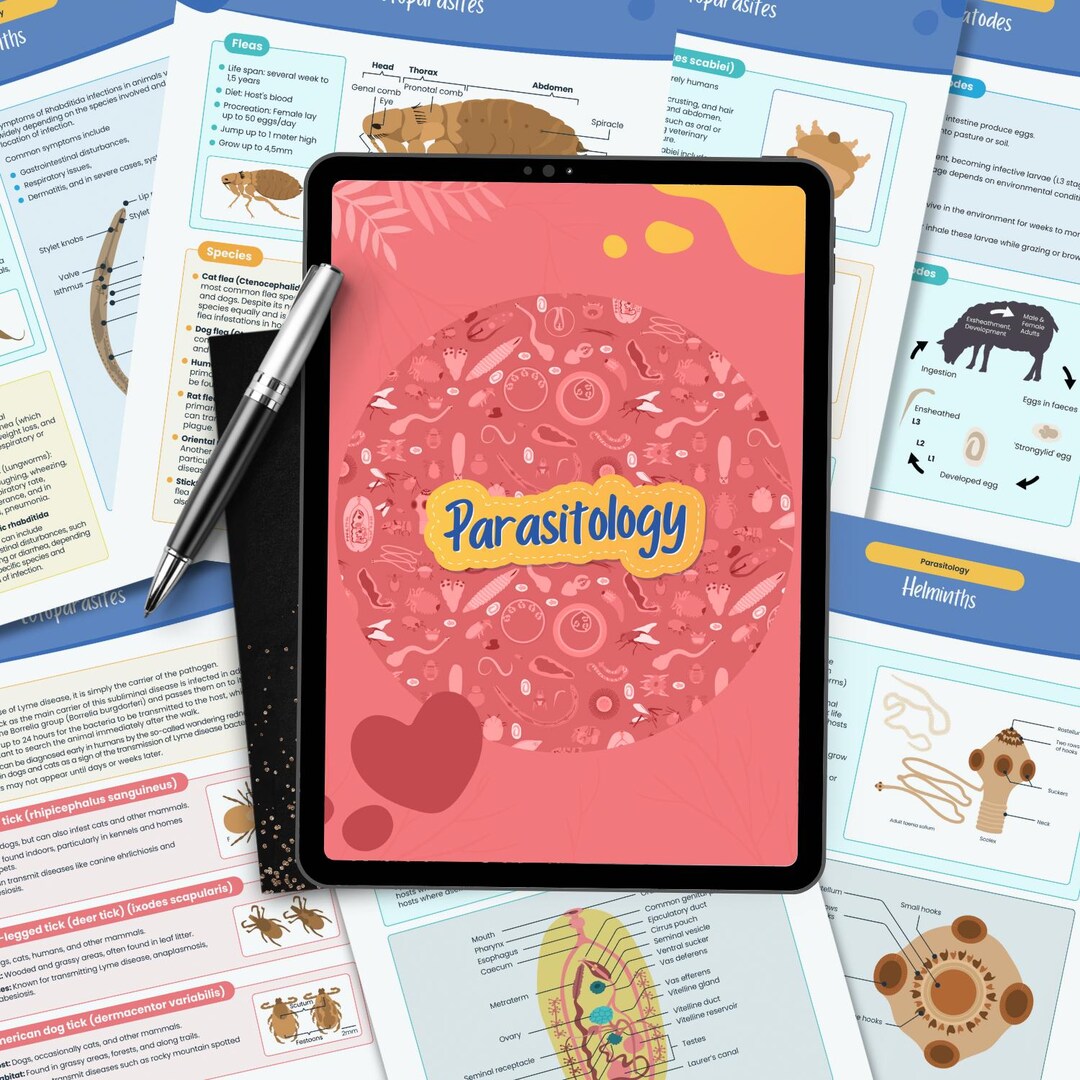 Veterinary Parasitology Notes Nurse Study Guide Vet Nursing Notes ...
