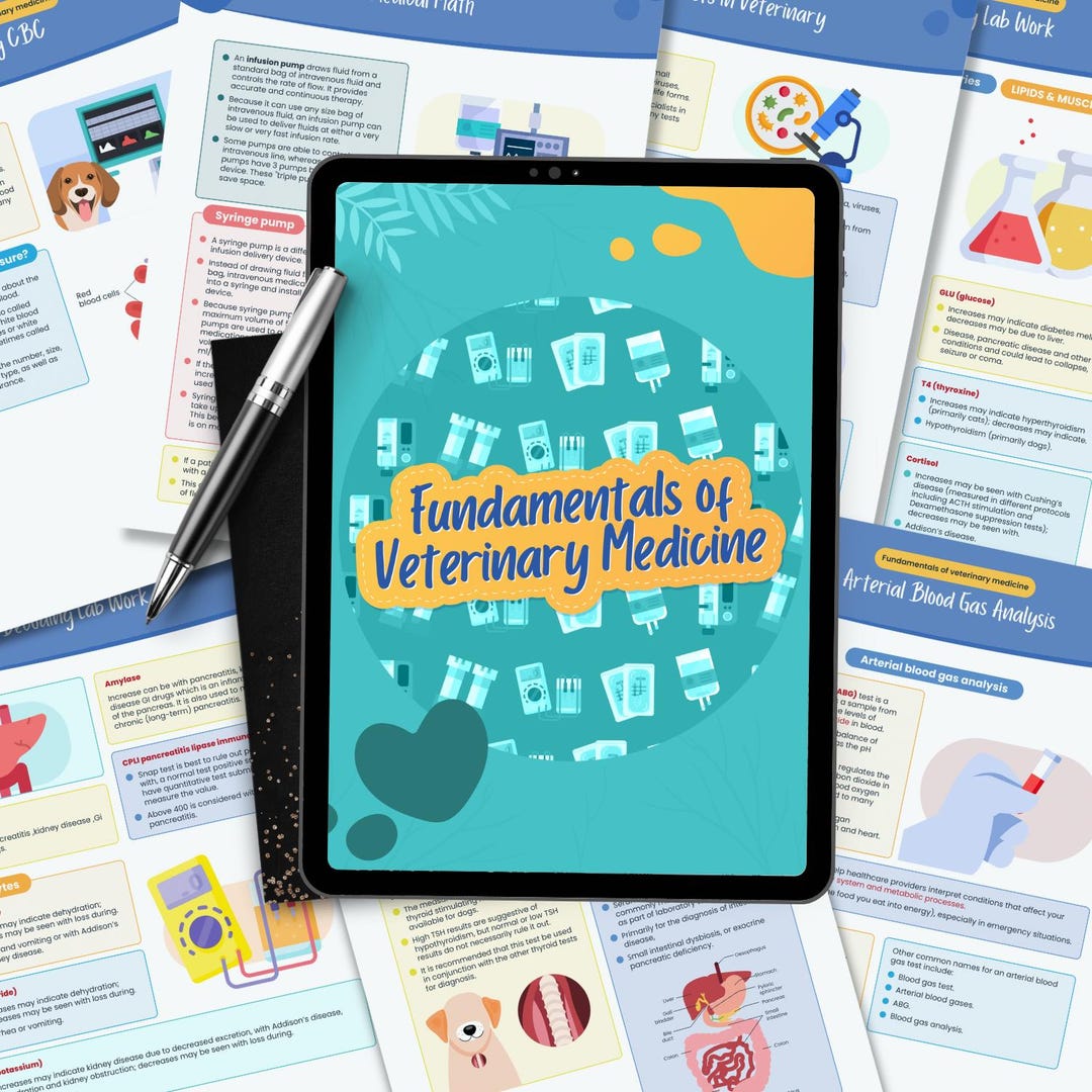 Fundamentals of Vet Medicine Notes Nurse Study Guide Vet Nursing Notes ...