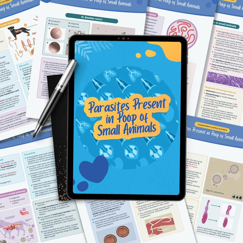 Parasites Present in Poop of Small Animals Notes Nurse Study Guide Vet ...