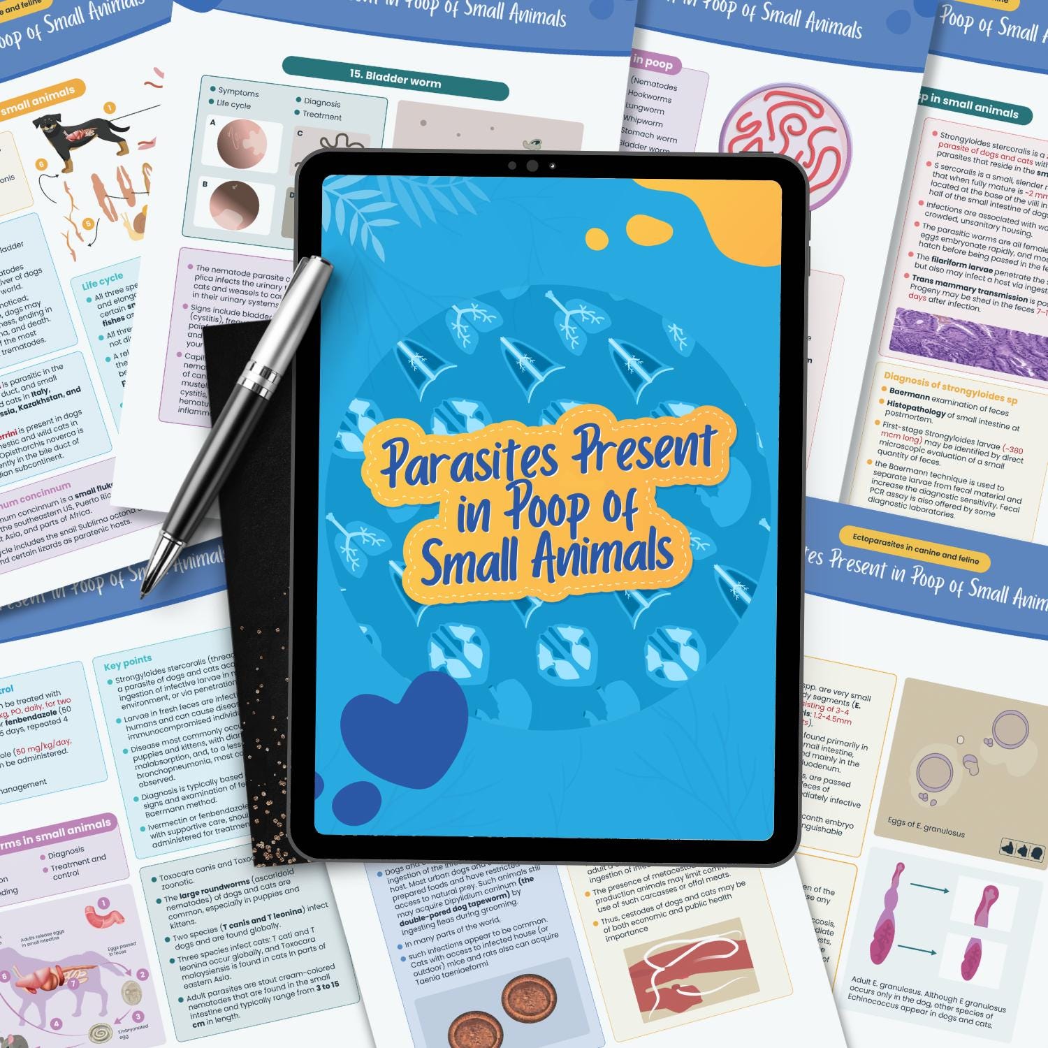 Parasites Present in Poop of Small Animals Notes Nurse Study Guide Vet ...