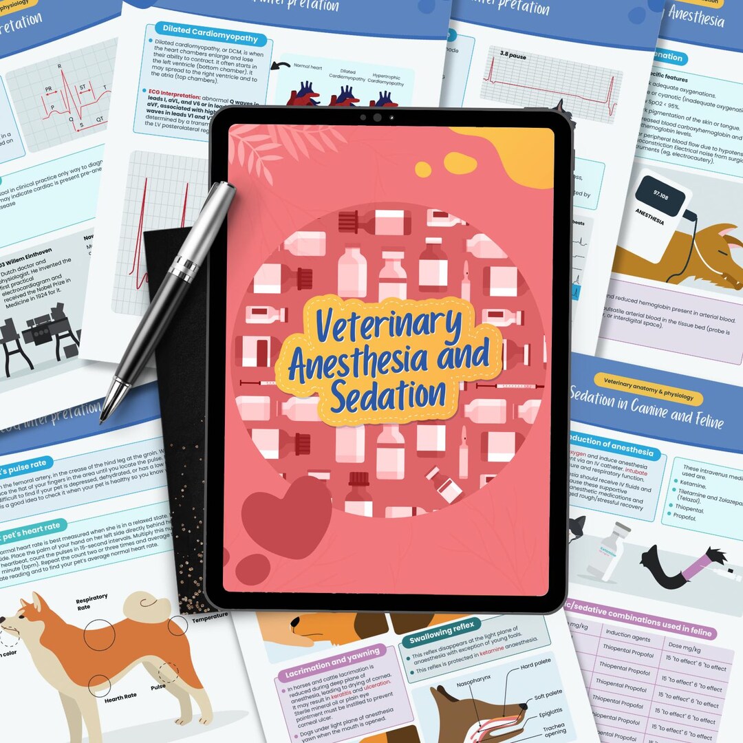 Veterinary Anesthesia and Sedation Notes Nurse Study Guide Vet Nursing ...