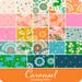Ruby Star Society Carousel Quilt Kit - Etsy