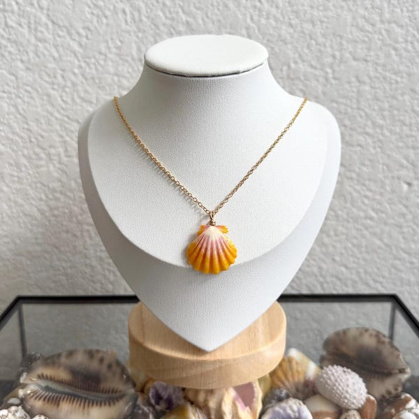 Sunrise Shell - Etsy