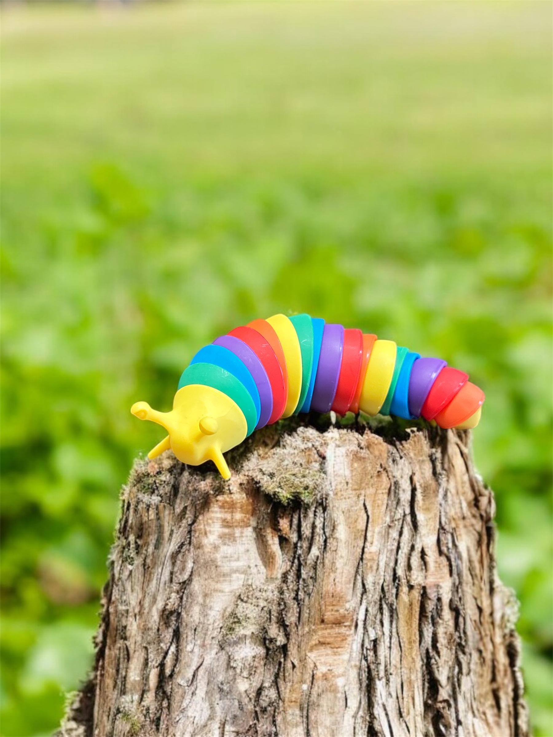 Fidget Slug Caterpillar: Sensory Stress Relief Toy for Kids and Adults ...