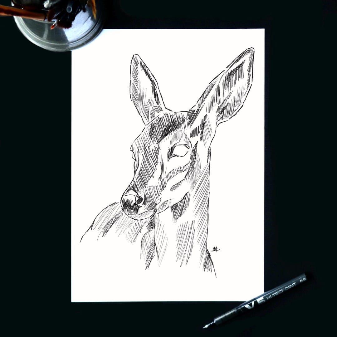 Deer Portrait | Deer Digital Drawing | Birthday Gift Christmas Gift ...