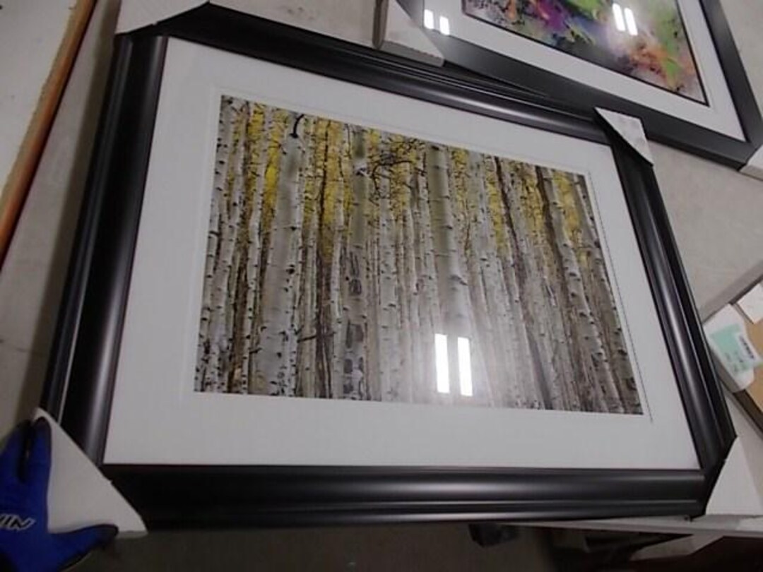 Elizabeth Liz Langdon Aspen Glow Wall Art Print Frame 24.5" X 36 - Etsy