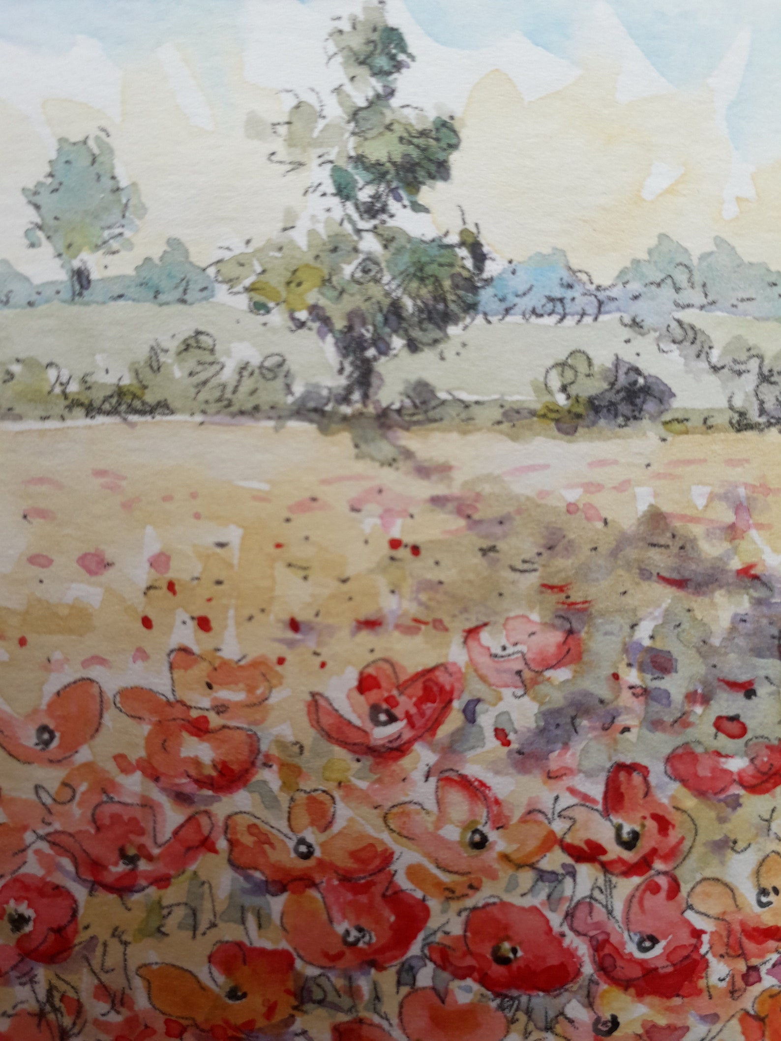 POPPY FIELD Watercolour Painting Framed 6in Square Gift - Etsy