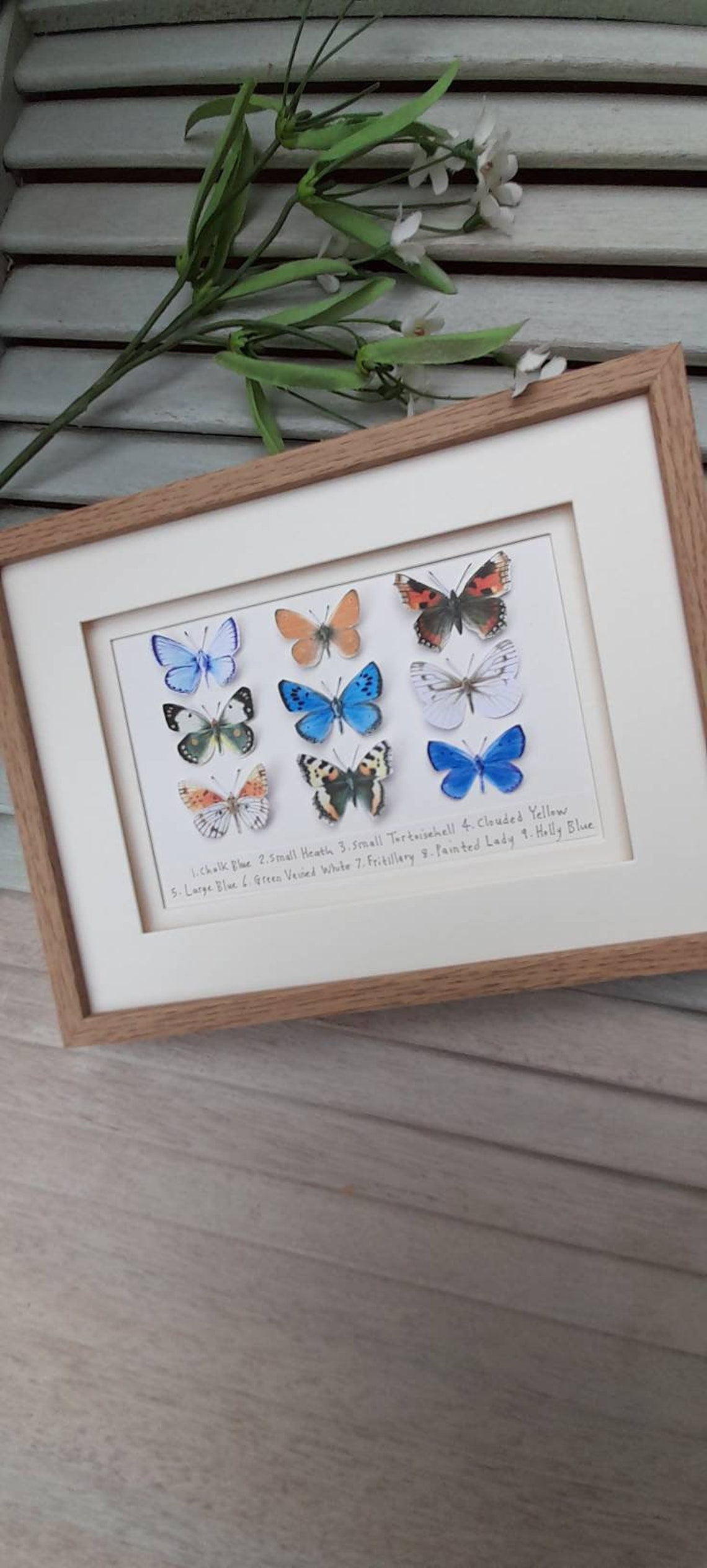 Butterfly Butterflies Paper Butterfly Picture Birthday - Etsy