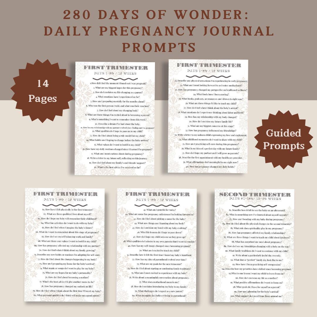 280 Days of Wonder Pregnancy Journal Prompts, Daily Guided Prompts for ...