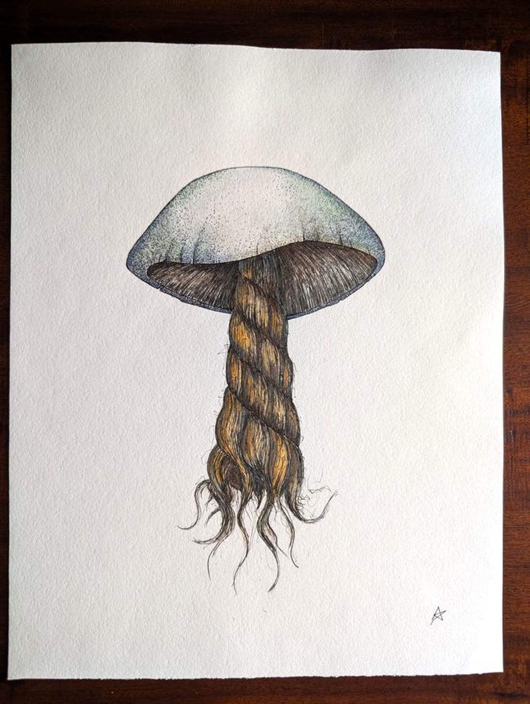 Funiculus Fungus (rope Mushroom) Original Watercolor Painting - Etsy