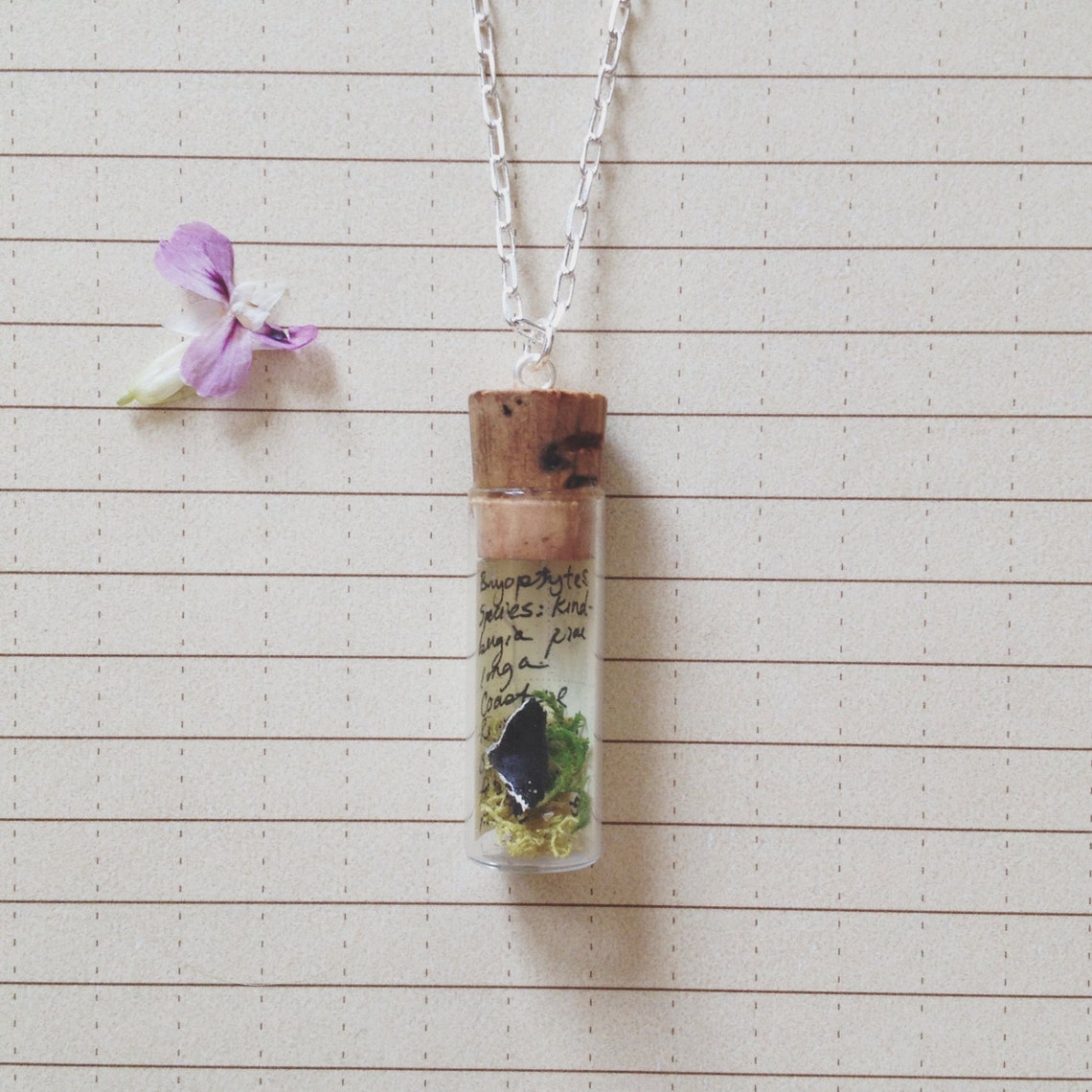 Field Notebook Necklace - With Moss in Glass Vial - Etsy