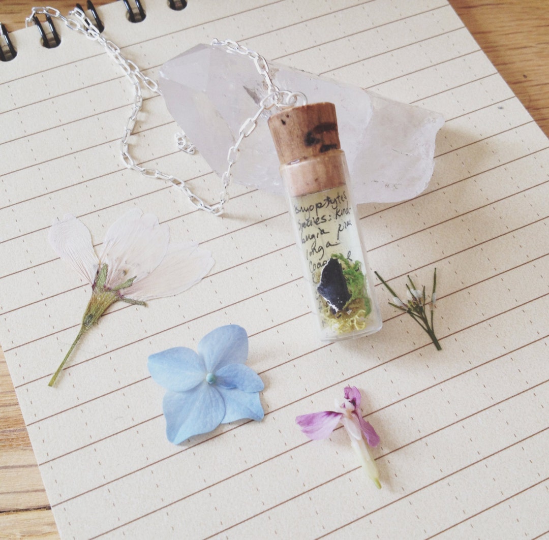 Field Notebook Necklace - With Moss in Glass Vial - Etsy