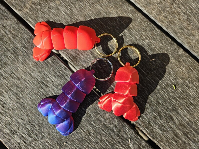 Assorted 3D Printed Flexible Lobster Tail Key Chains - Set of 3 - Etsy
