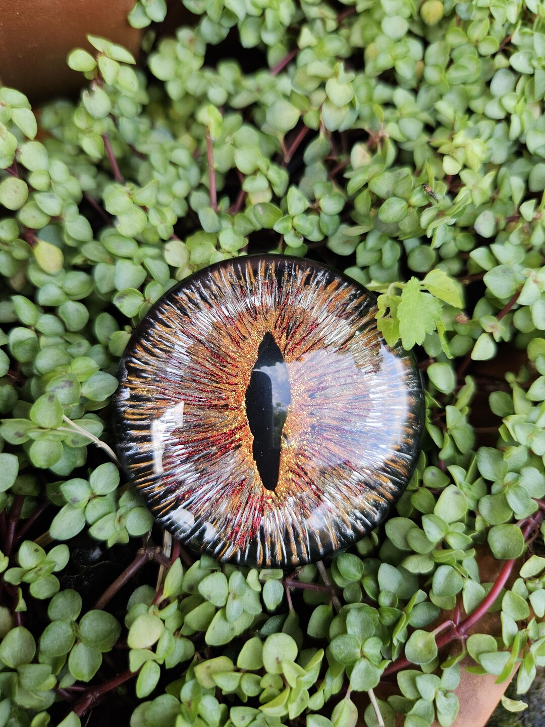 Sparkling Orange Medium Glass Dragon Eye - Etsy