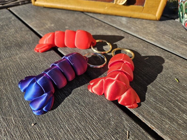 Assorted 3D Printed Flexible Lobster Tail Key Chains - Set of 3 - Etsy
