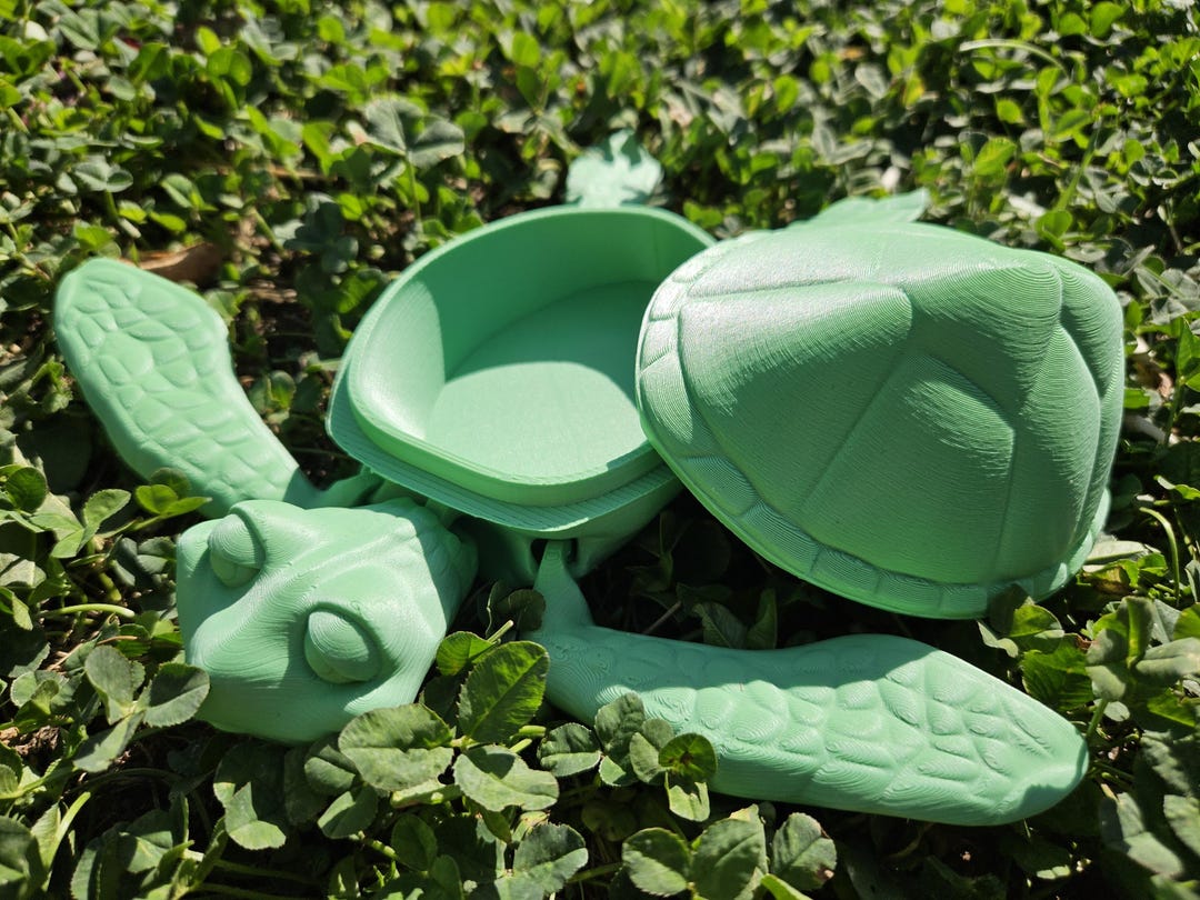 Matte Green Flexi Turtle Keepsake Box - Etsy