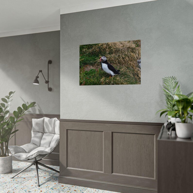 Atlantic Puffin With a Catch Poster - Etsy